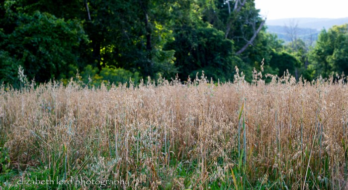stewardship – Stories & Pictures