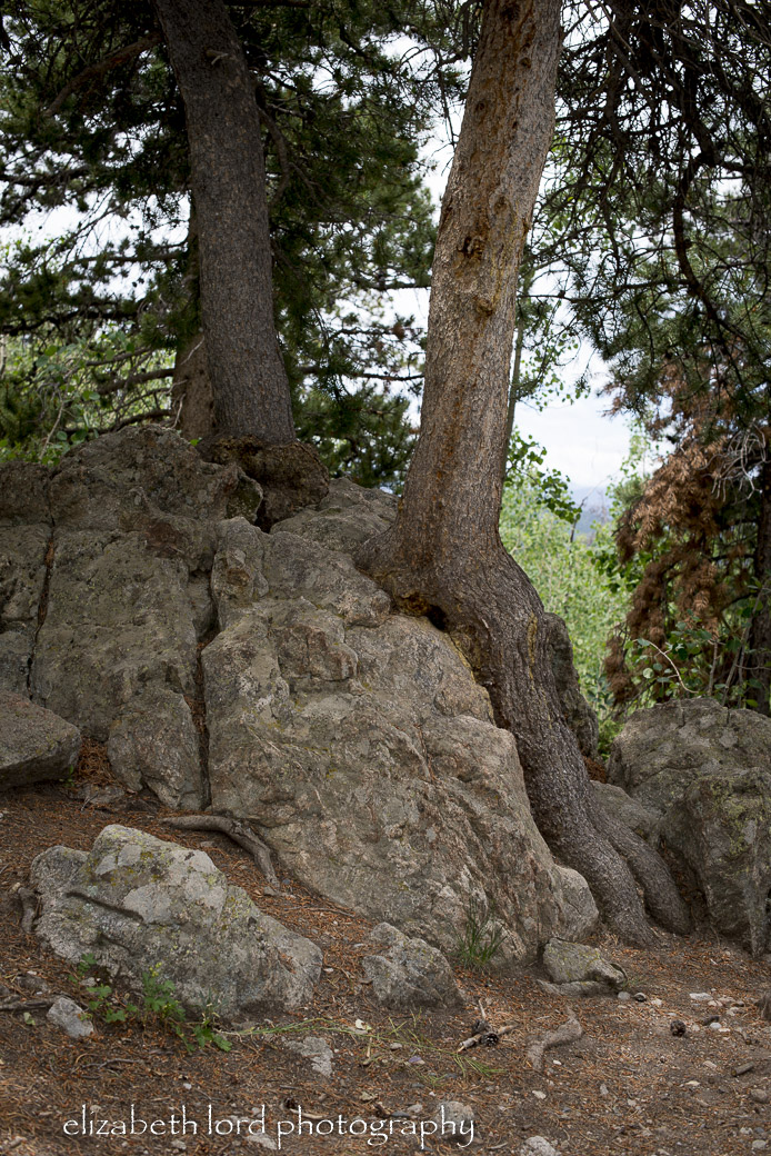 A Moment in Time #101 – Stories & Pictures